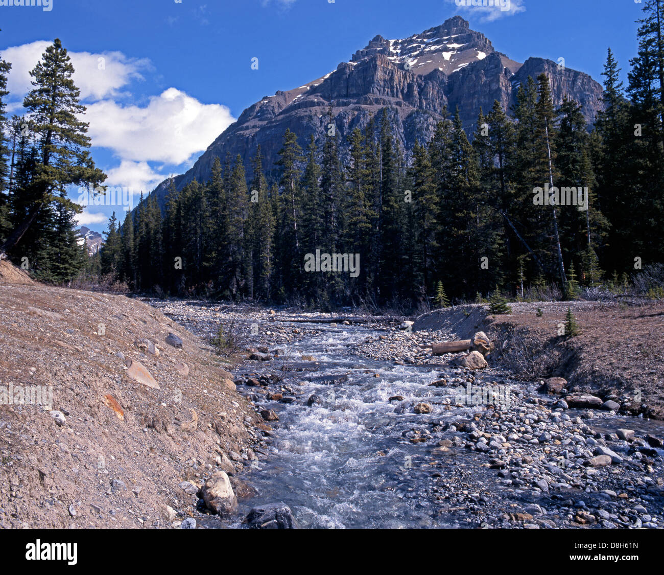 Stream running down mountain alongside Highway 93, Icefields Parkway ...