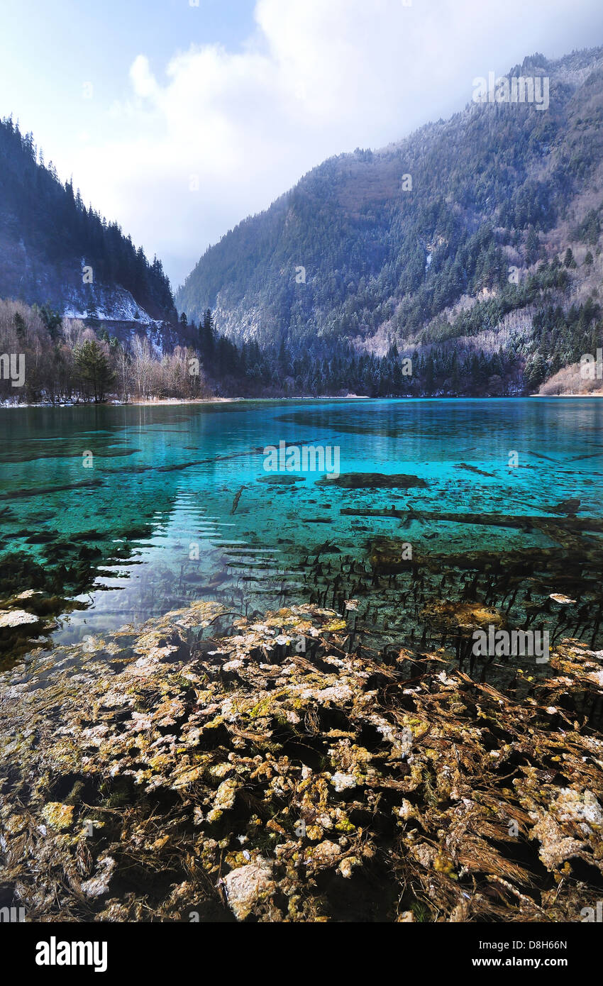 Five Flower Lake at Jiuzhaigou National Park, Sichuan, China Stock ...