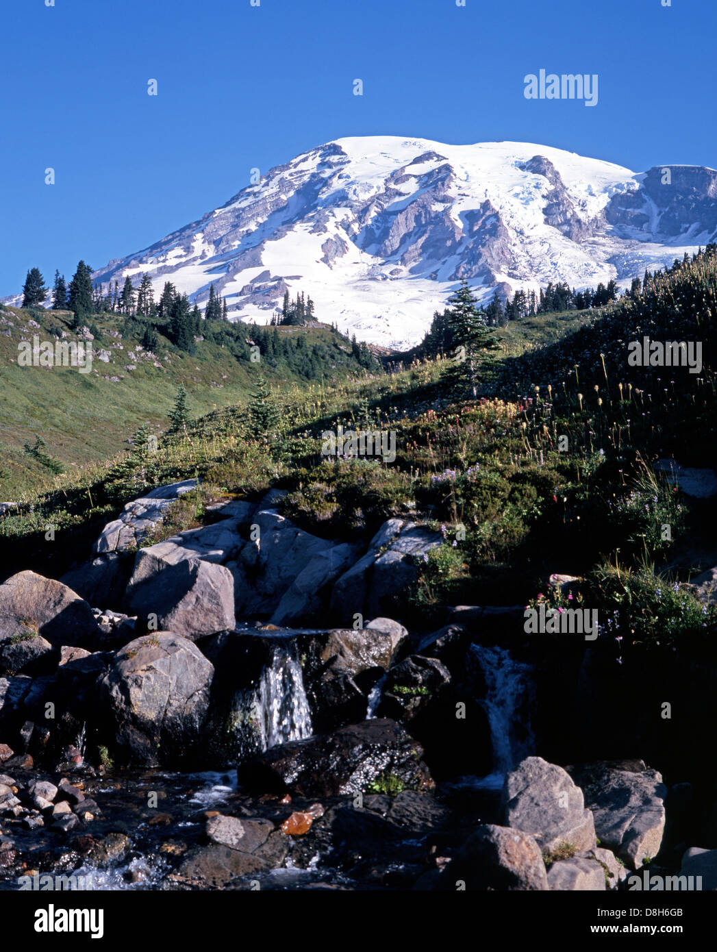 Ranier national park hi-res stock photography and images - Alamy