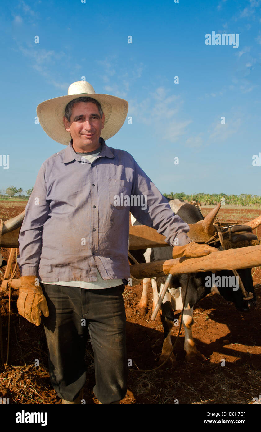 Trinidad Cuba farmer with traditional plow with oxen in rich Cuban soil ...