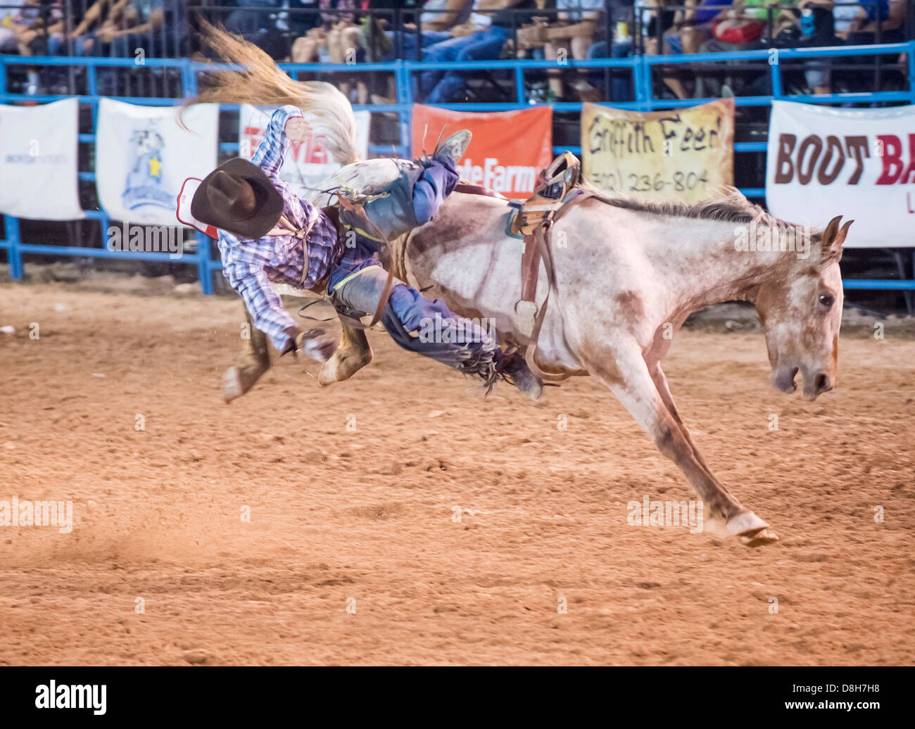 Texas Cowboy Lasso Horse High Resolution Stock Photography and Images ...
