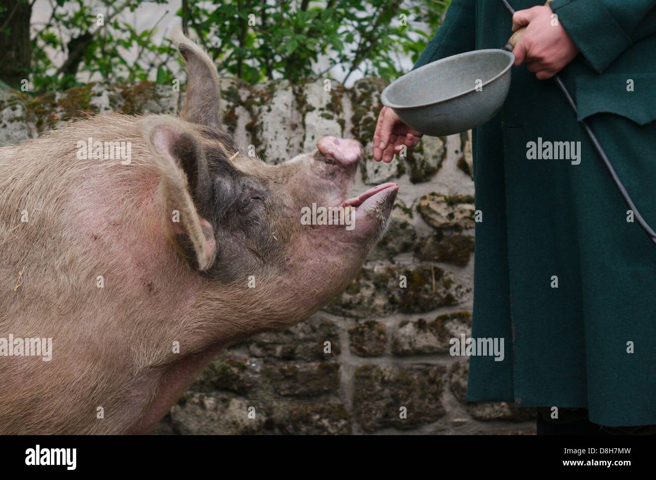 Guess the weight hi-res stock photography and images - Alamy