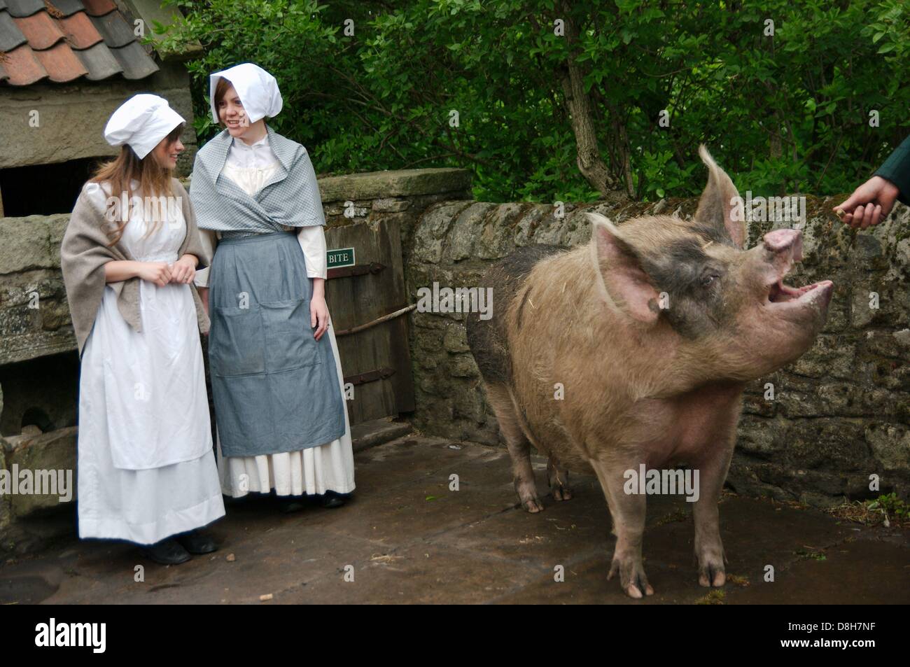 One of the events at the Georgian fair at Beamish Museum in 2013 was to guess the weight of Miss ...