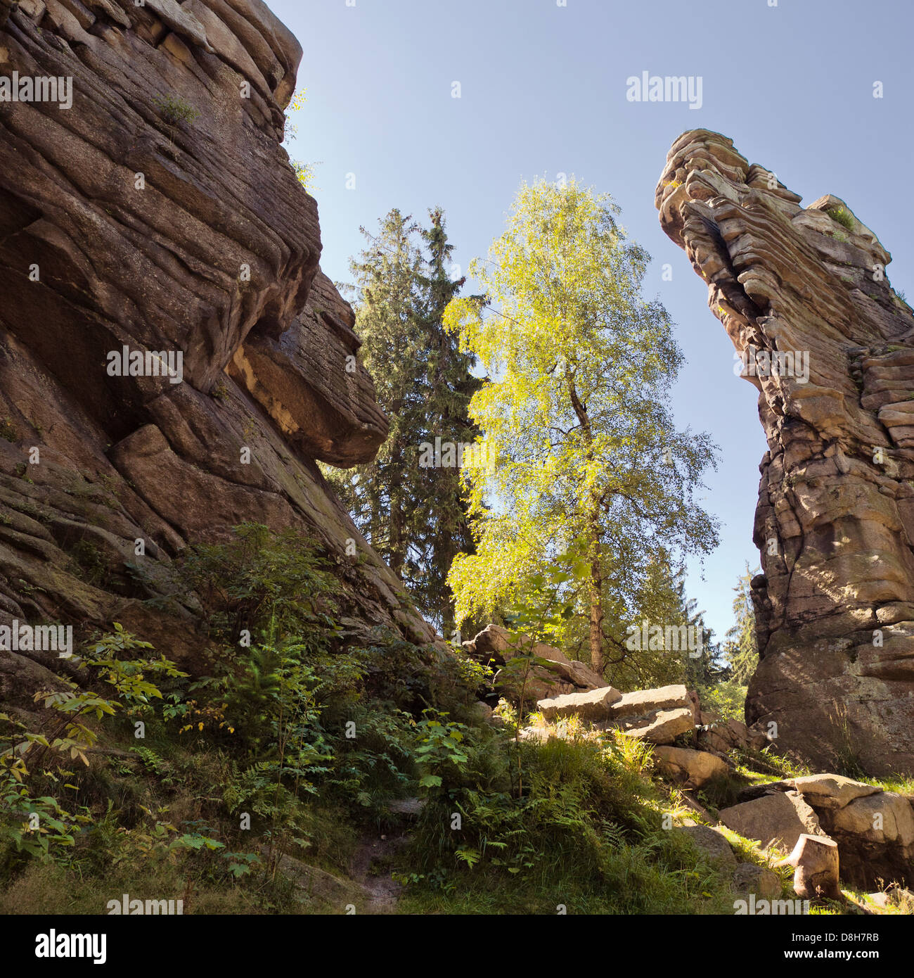 Natural stage, Greifensteine , Saxony, Germany Stock Photo - Alamy
