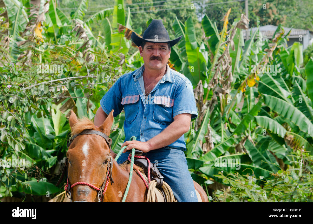 Trinidad Cuba real cowboy on horse riding on road portrait from ranch ...