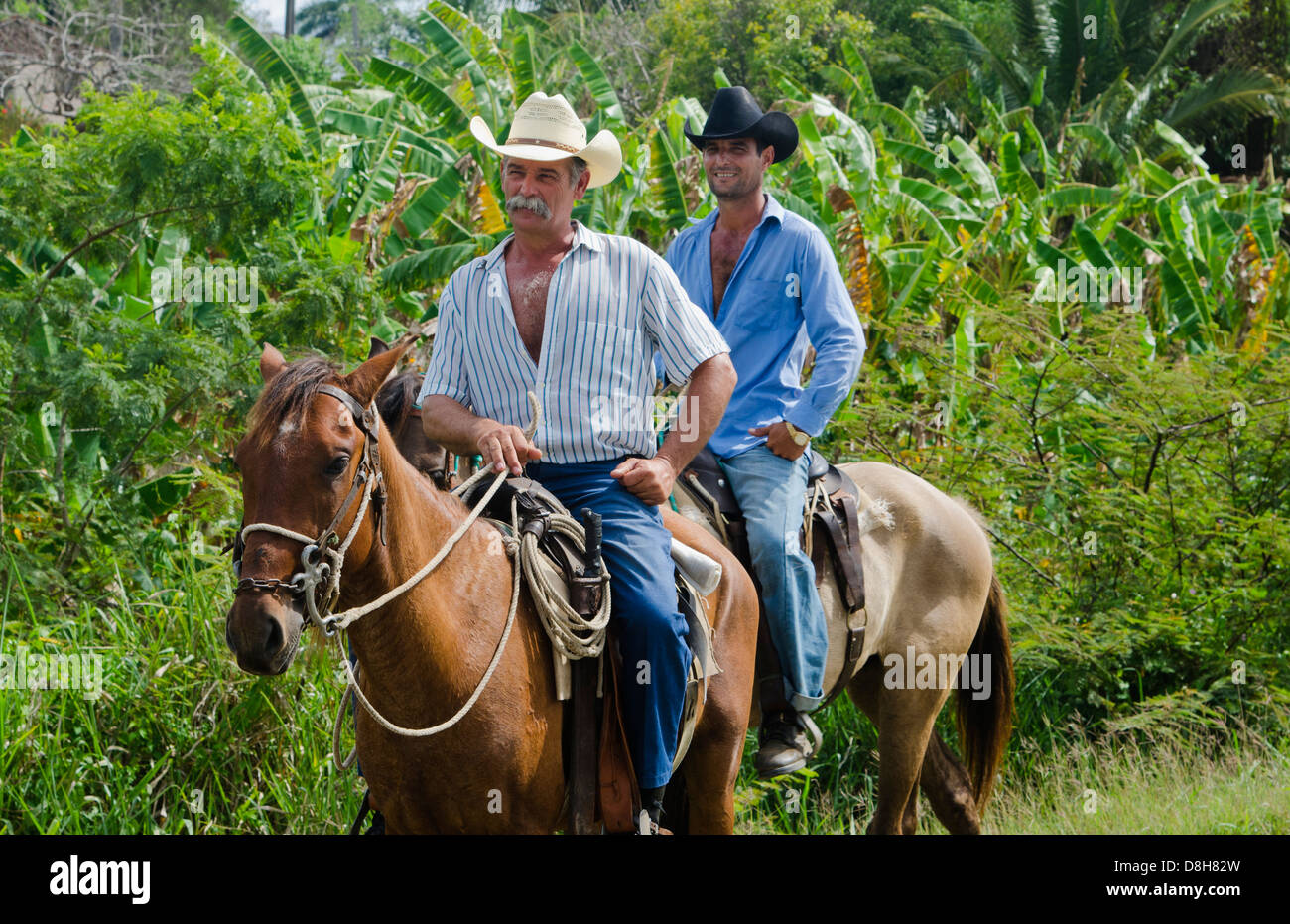 Trinidad Cuba real cowboys on horses riding on road portrait from ranch ...