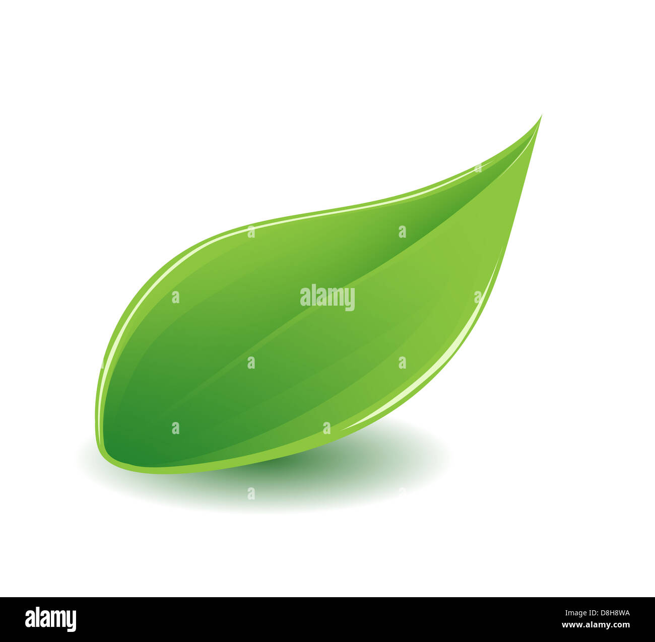 Leaf photosynthesis Cut Out Stock Images & Pictures - Alamy