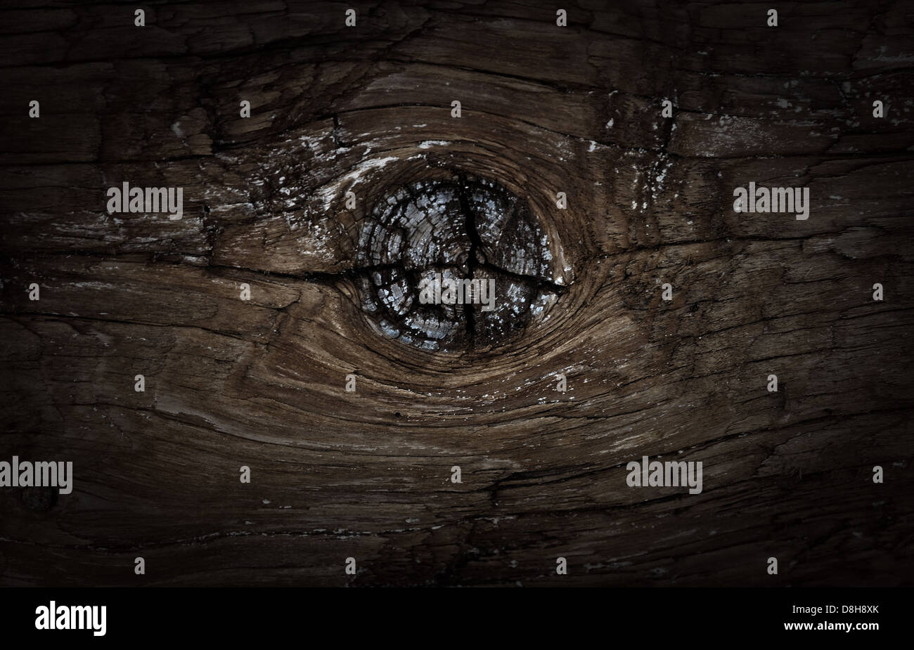 Tree knot hi-res stock photography and images - Alamy