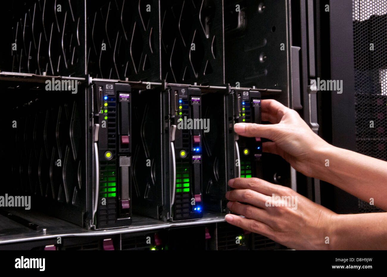 woman installing blades into large stacked computer server in the IT ...