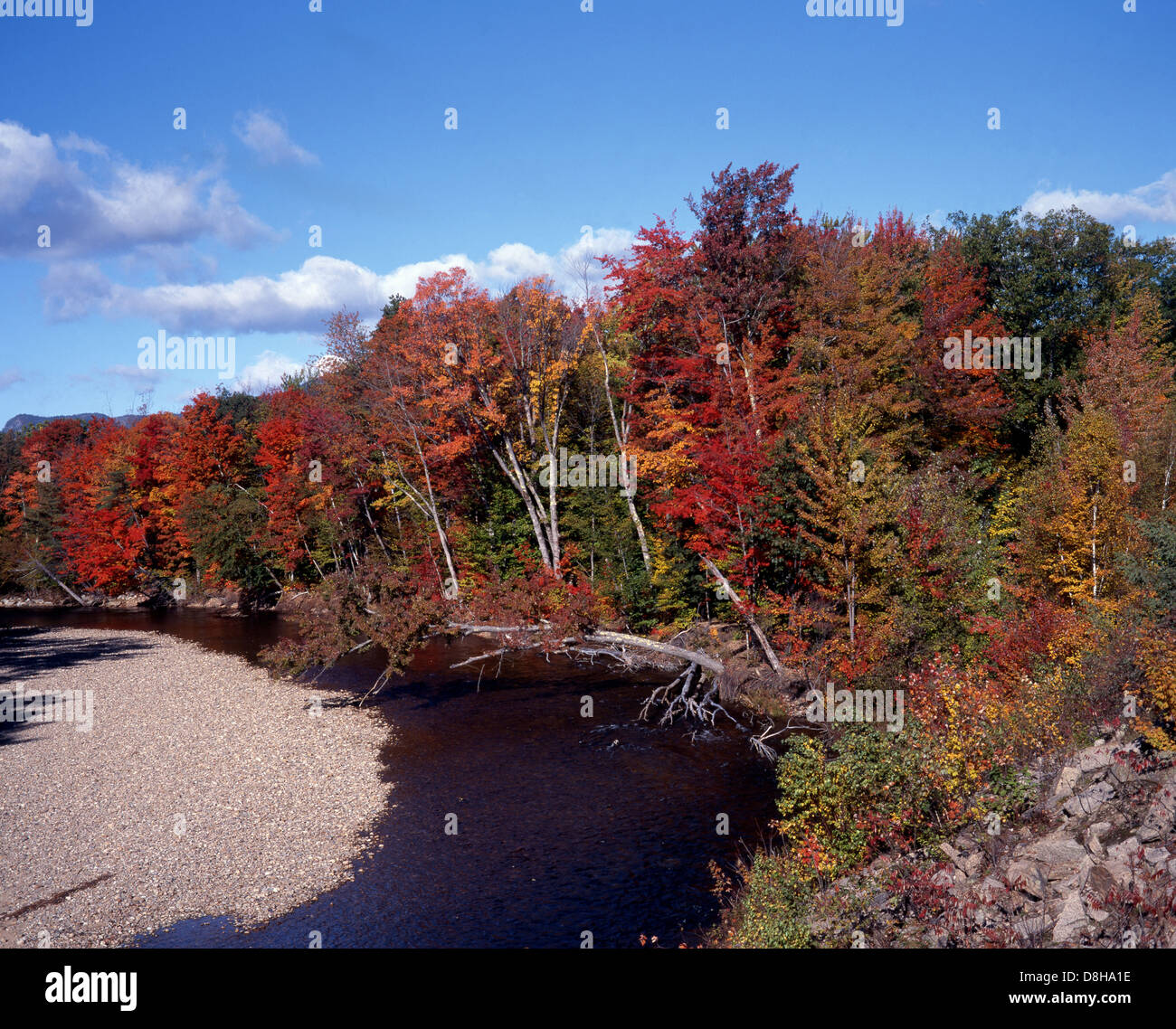 River Saco during the ‘Fall’, New Hampshire, United States of America ...