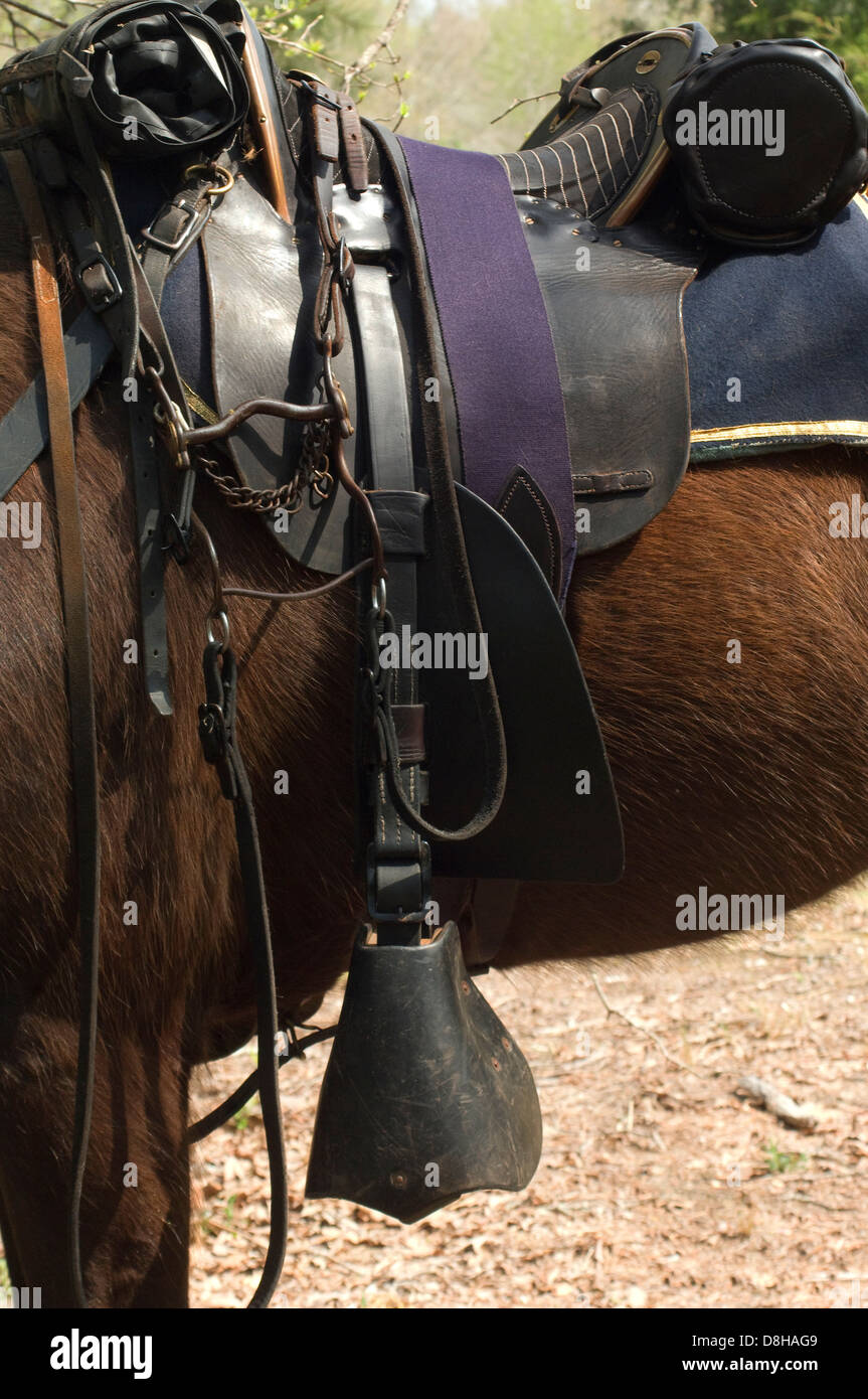 Union cavalry tack, Shiloh National Military Park, Tennessee. Digital ...