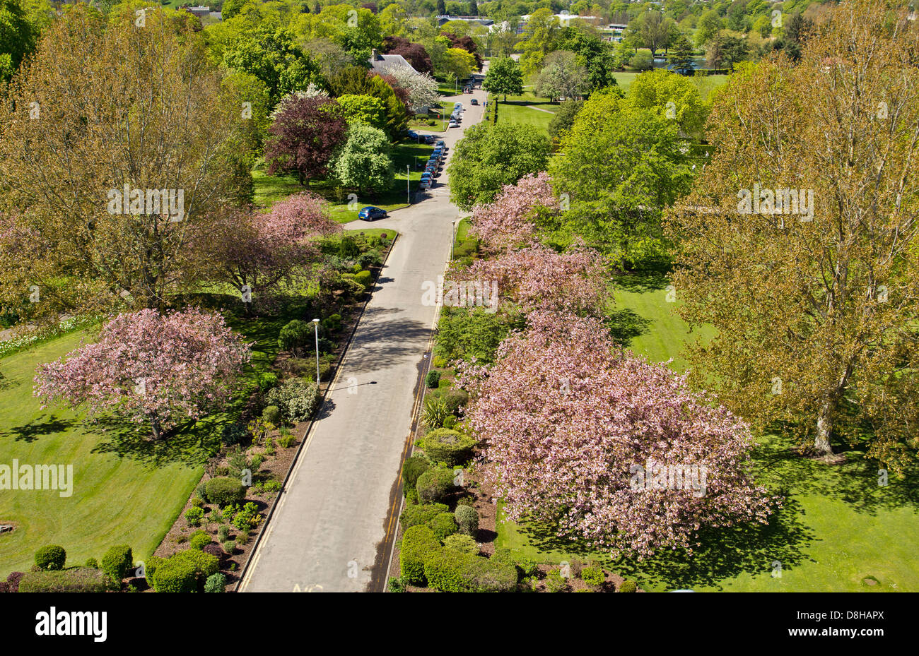 VIEW OF THE CENTRE OF ELGIN FROM THE CATHEDRAL TOWER LOOKING TOWARDS ...