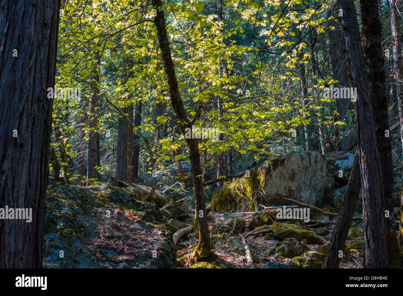 Alone among Many Stock Photo - Alamy