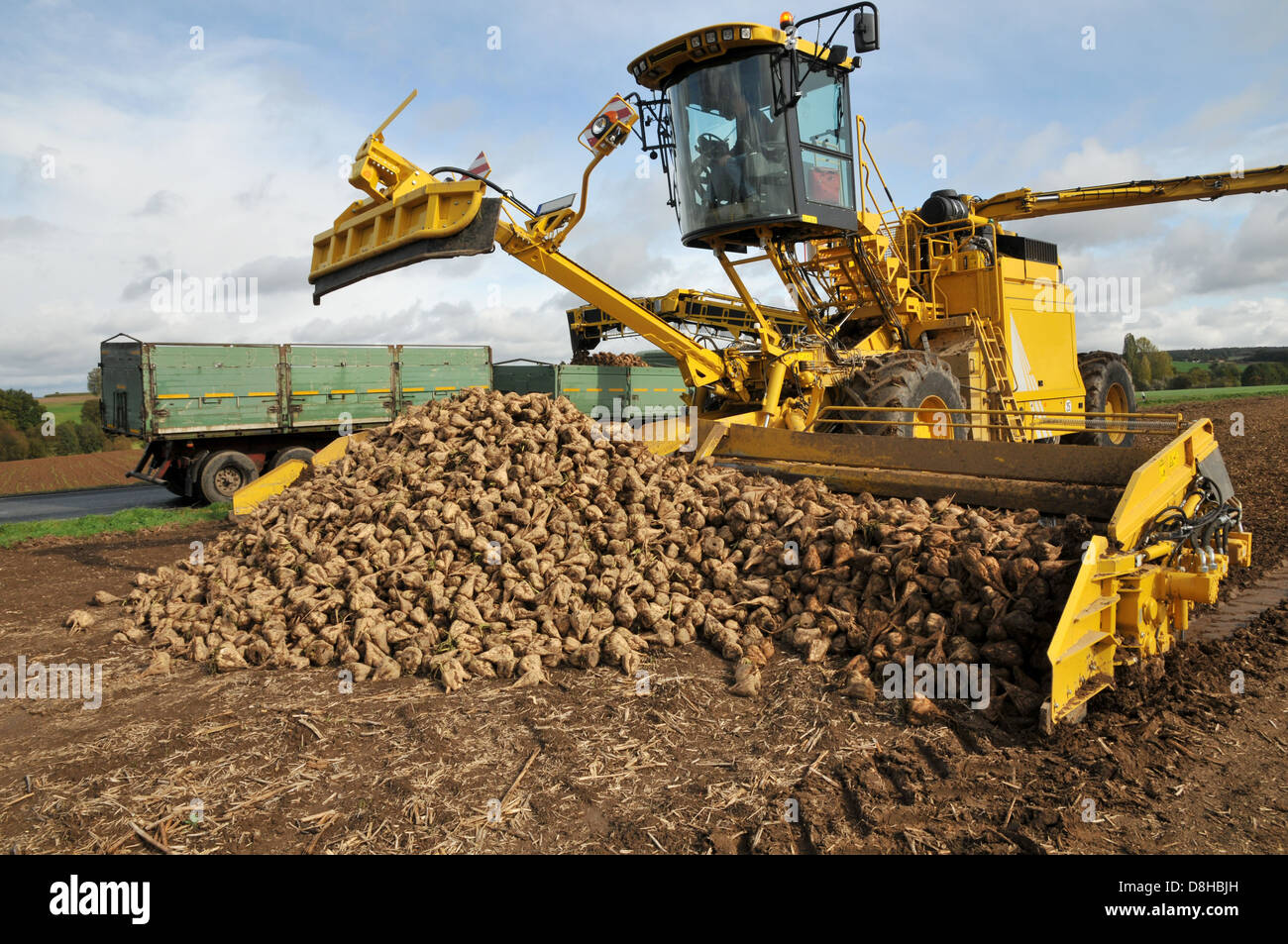 Beet cleaner loader Stock Photo - Alamy
