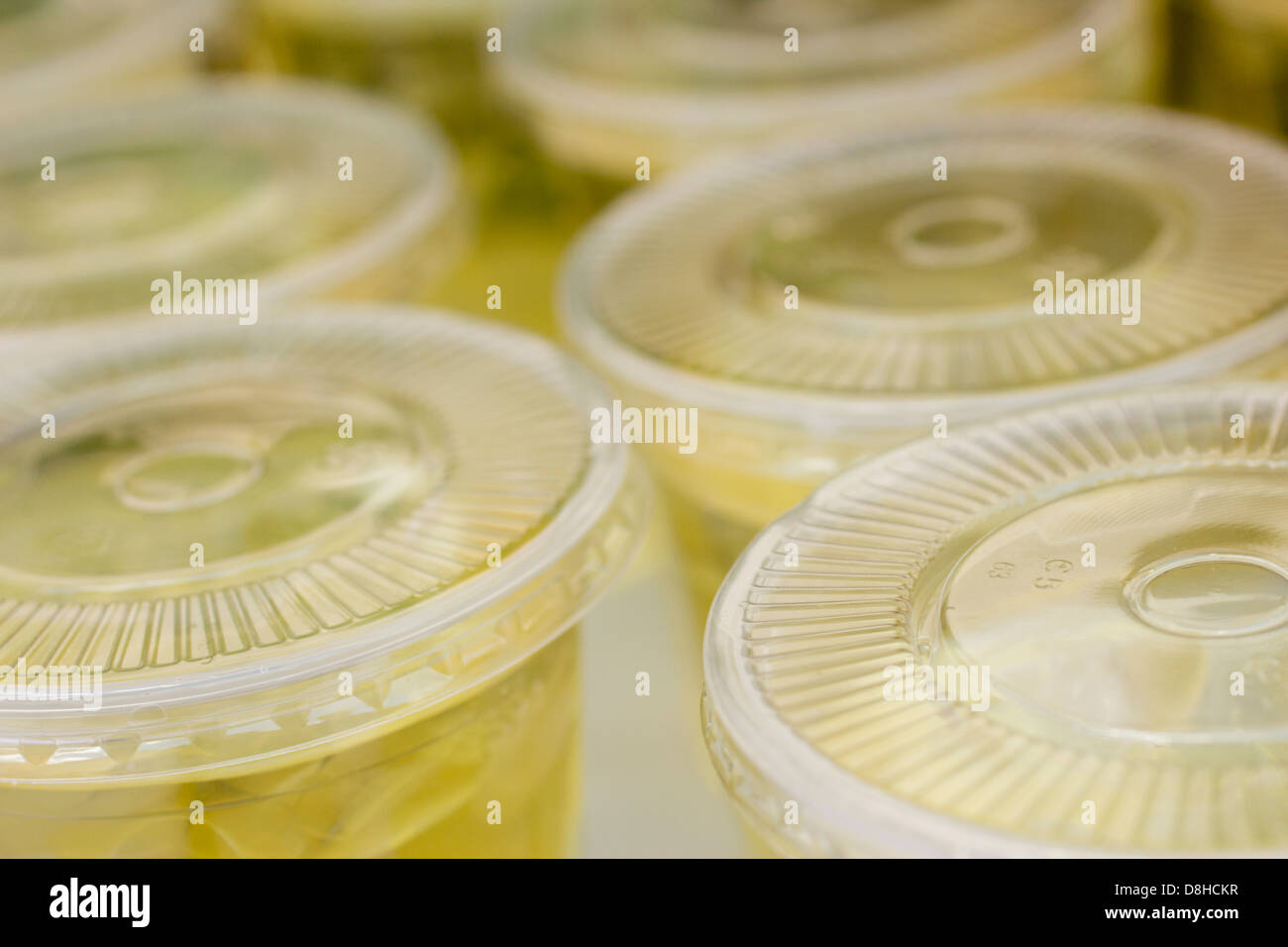 Containers of Chinese Oolong Ice Tea Stock Photo - Alamy