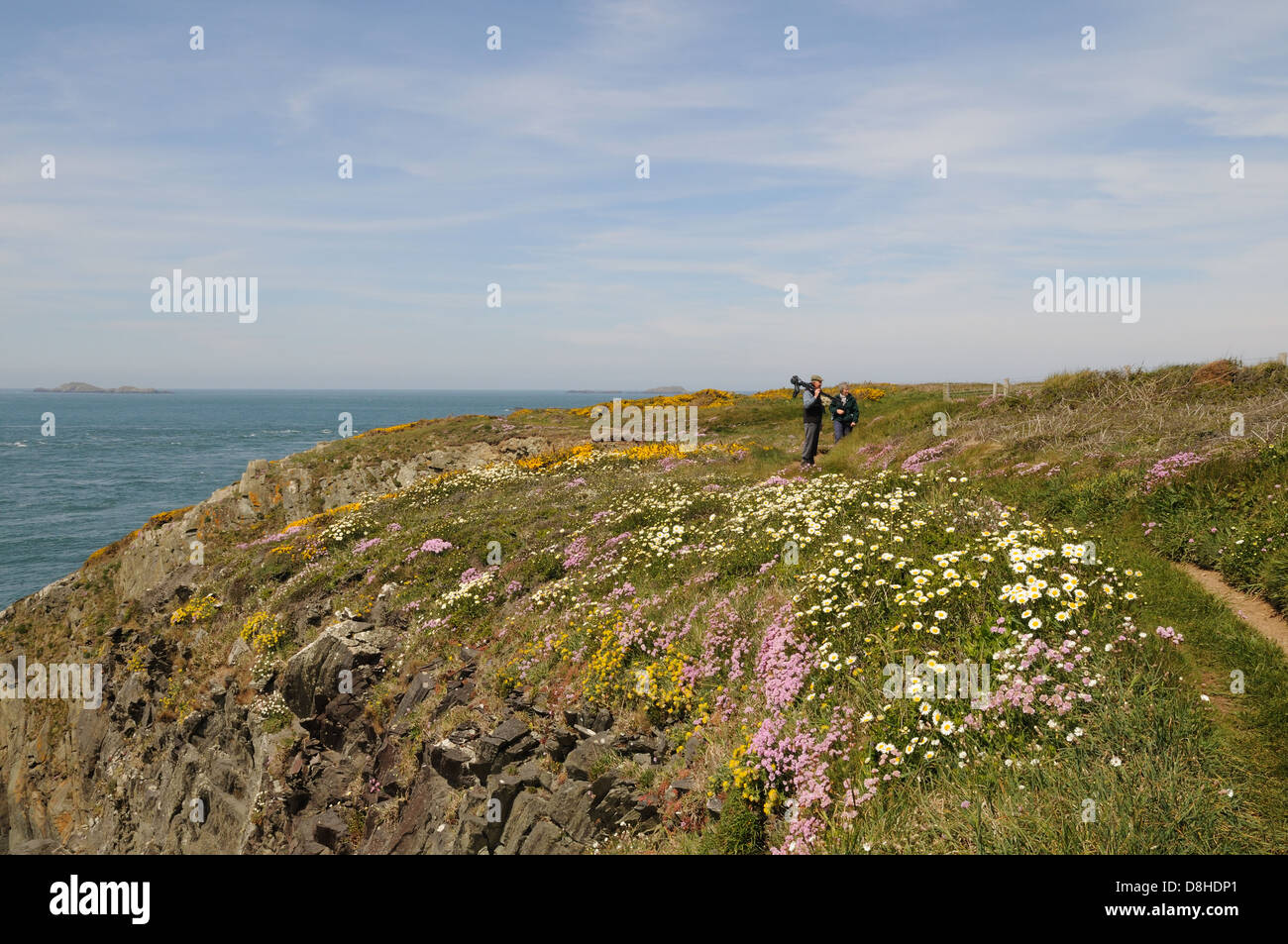Spring coast path flowers hi-res stock photography and images - Alamy