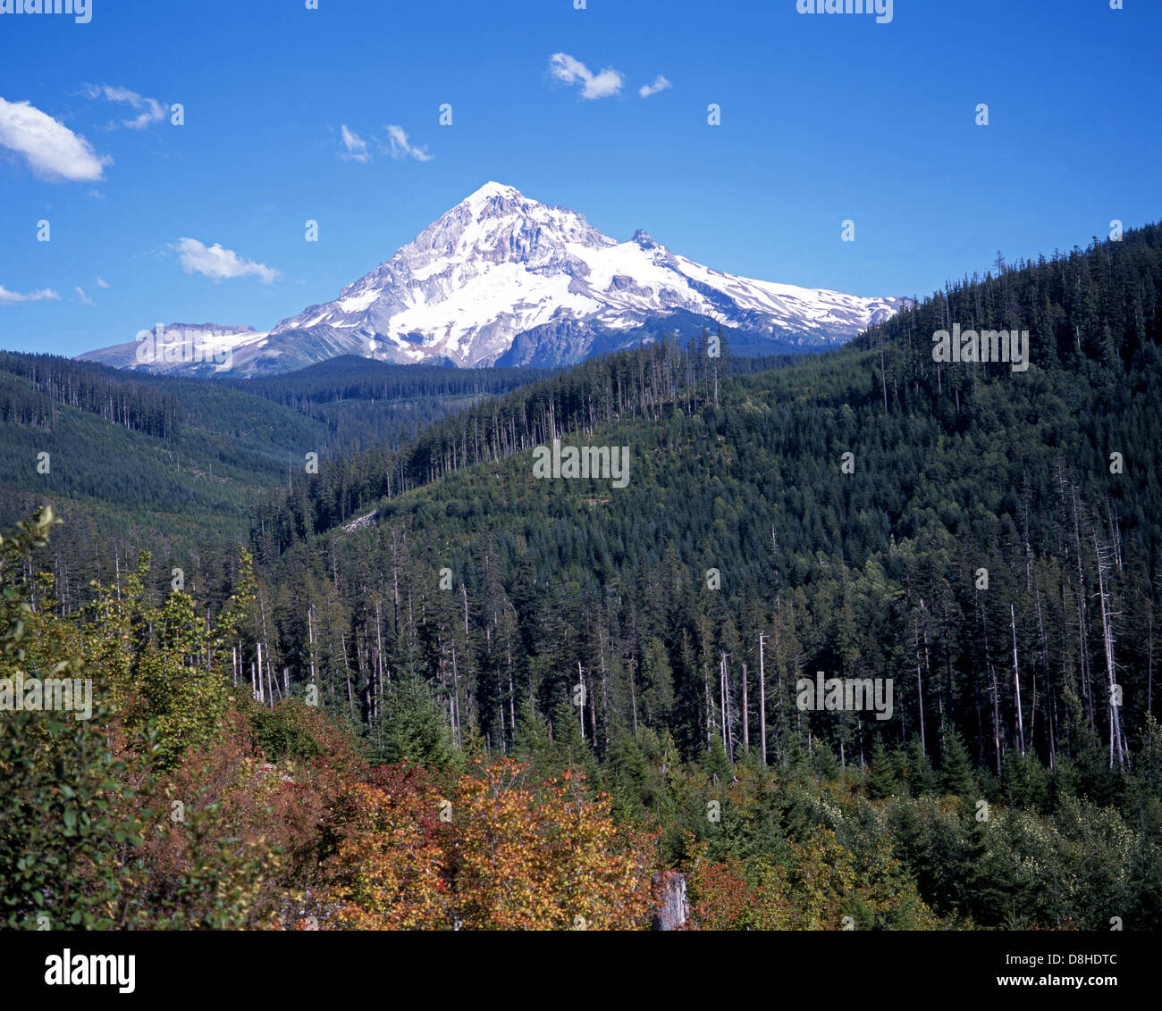 Mount Hood viewed from the Lobo pass, Mount Hood - Clackamas / Hood ...