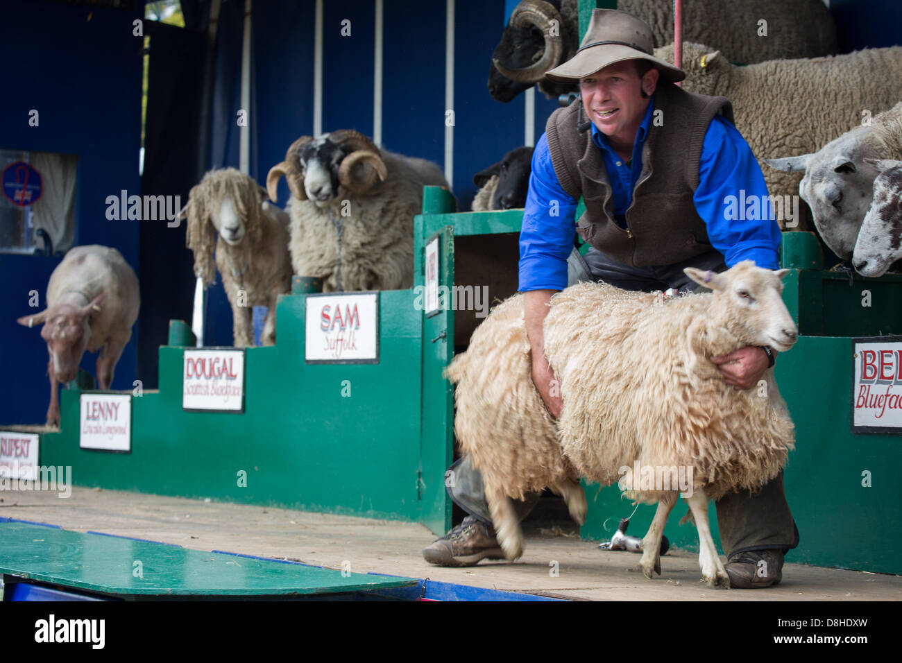 Stuart barnes hi-res stock photography and images - Alamy