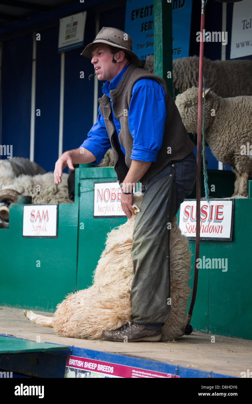 Stuart barnes hi-res stock photography and images - Alamy