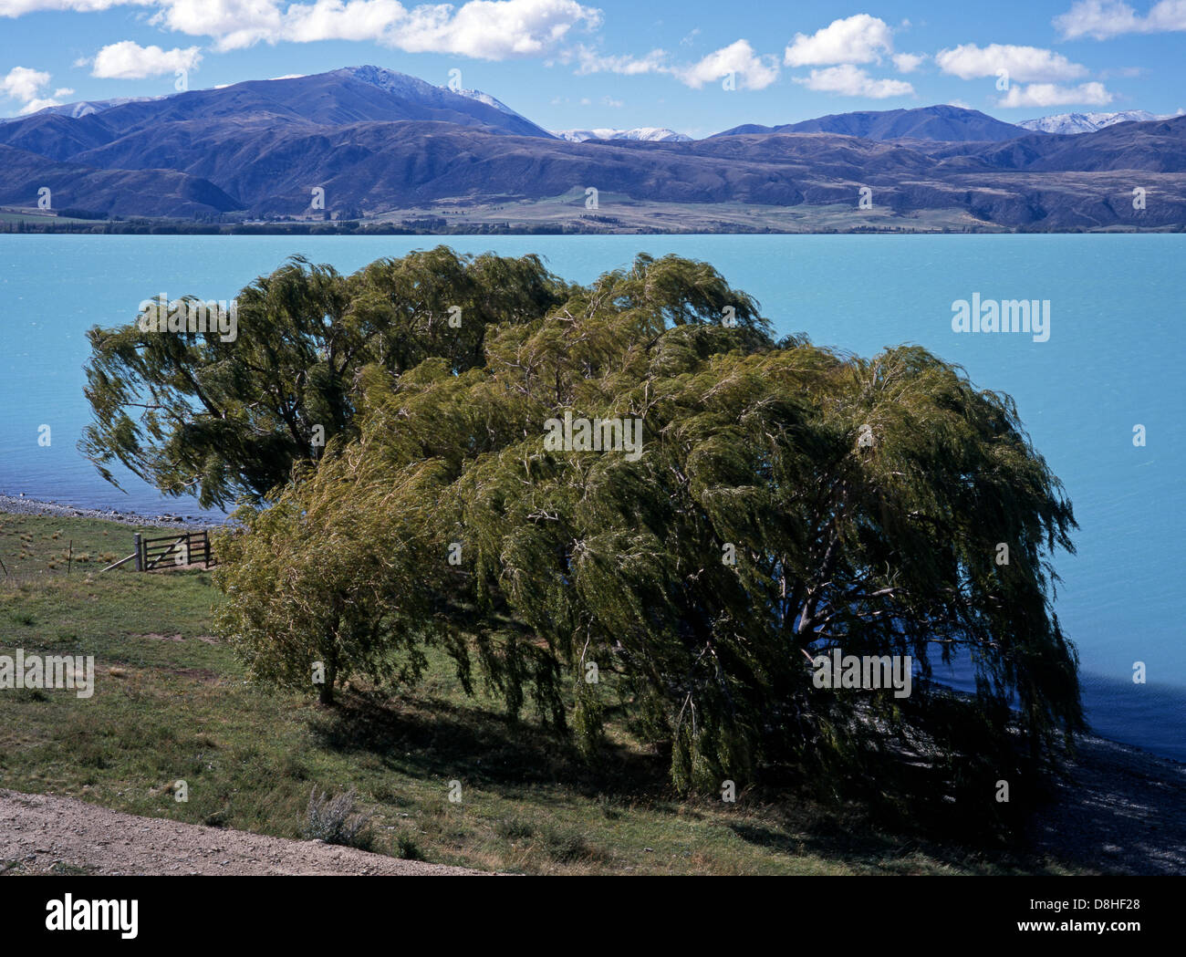 View across, Lake Aviemore (manmade lake), Mahi Tikumu, Canterbury ...
