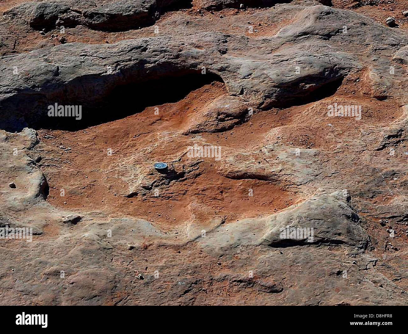 Dinosaur tracks preserved in the rock, located north of Flagstaff. The ...