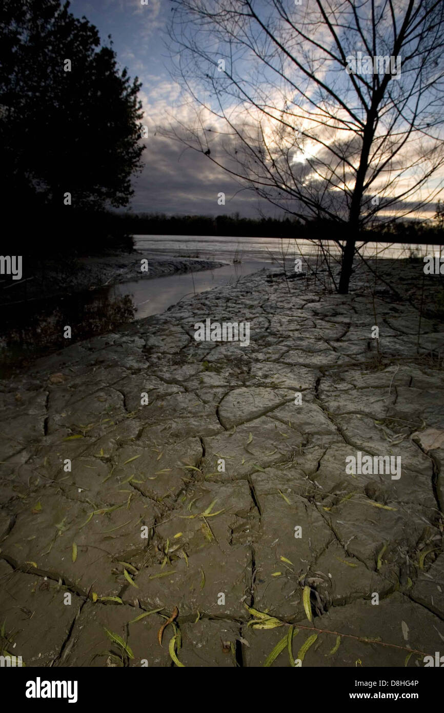This image shows the earth and mud ground near a lake. The surface is ...