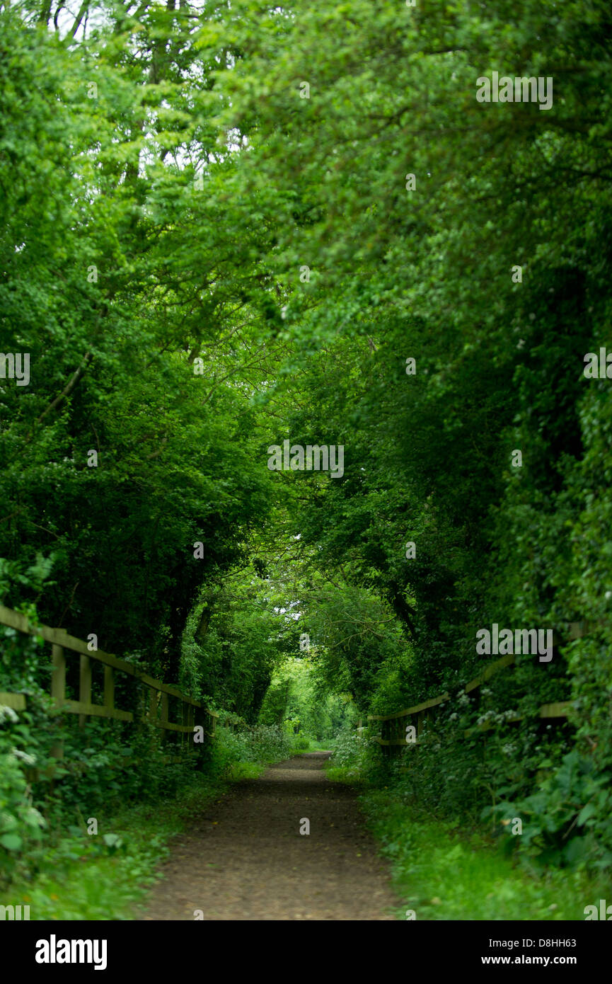 A view along the Nickey Line in Redbourn, UK Stock Photo - Alamy