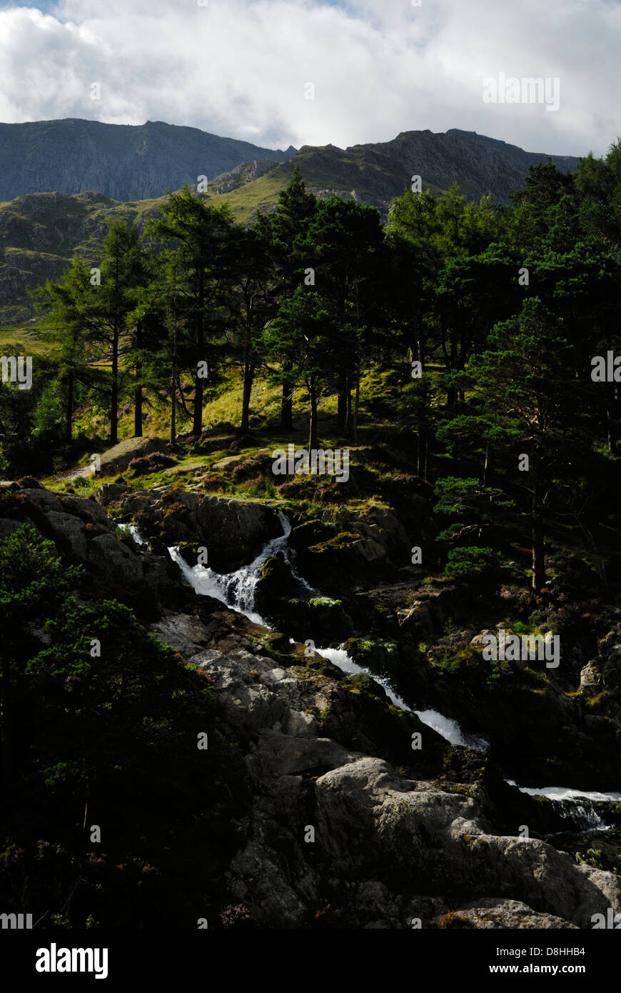 Rhaeadr Ogwen, or Ogwen falls, Glyderau range, Snowdonia national park ...