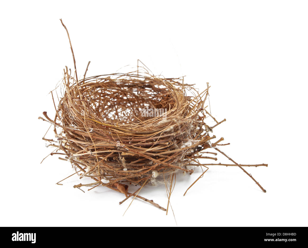 Empty nest hi-res stock photography and images - Alamy