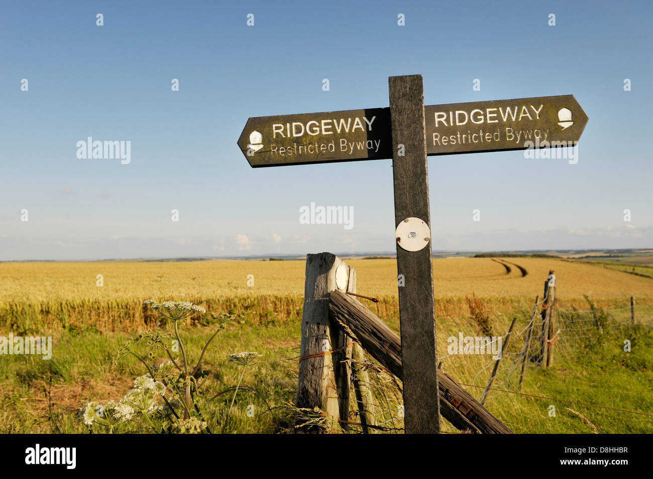 The Ridgeway. Sign on 5000 year old long distance path seen between ...
