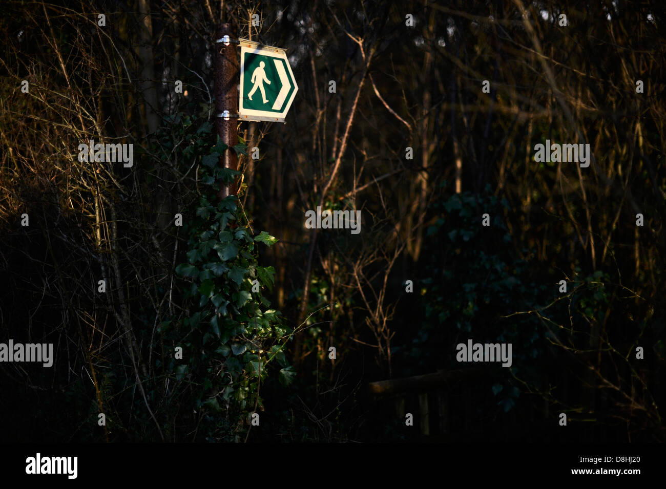 Metal signpost or waymarker in woodland Lllanrhystud, Wales, UK Stock ...