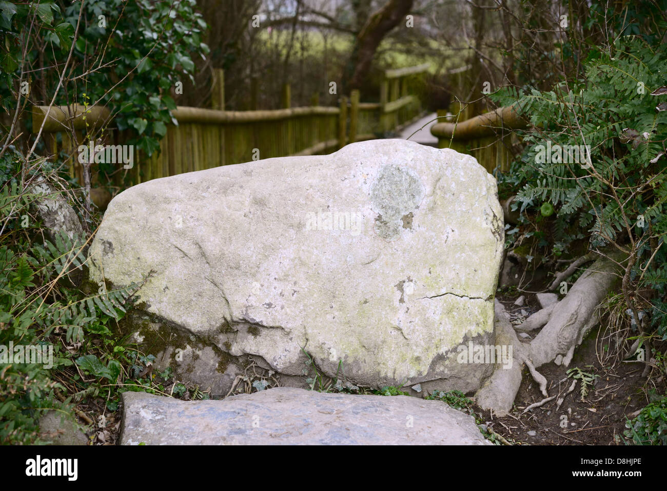 Natural stone slab hi-res stock photography and images - Alamy
