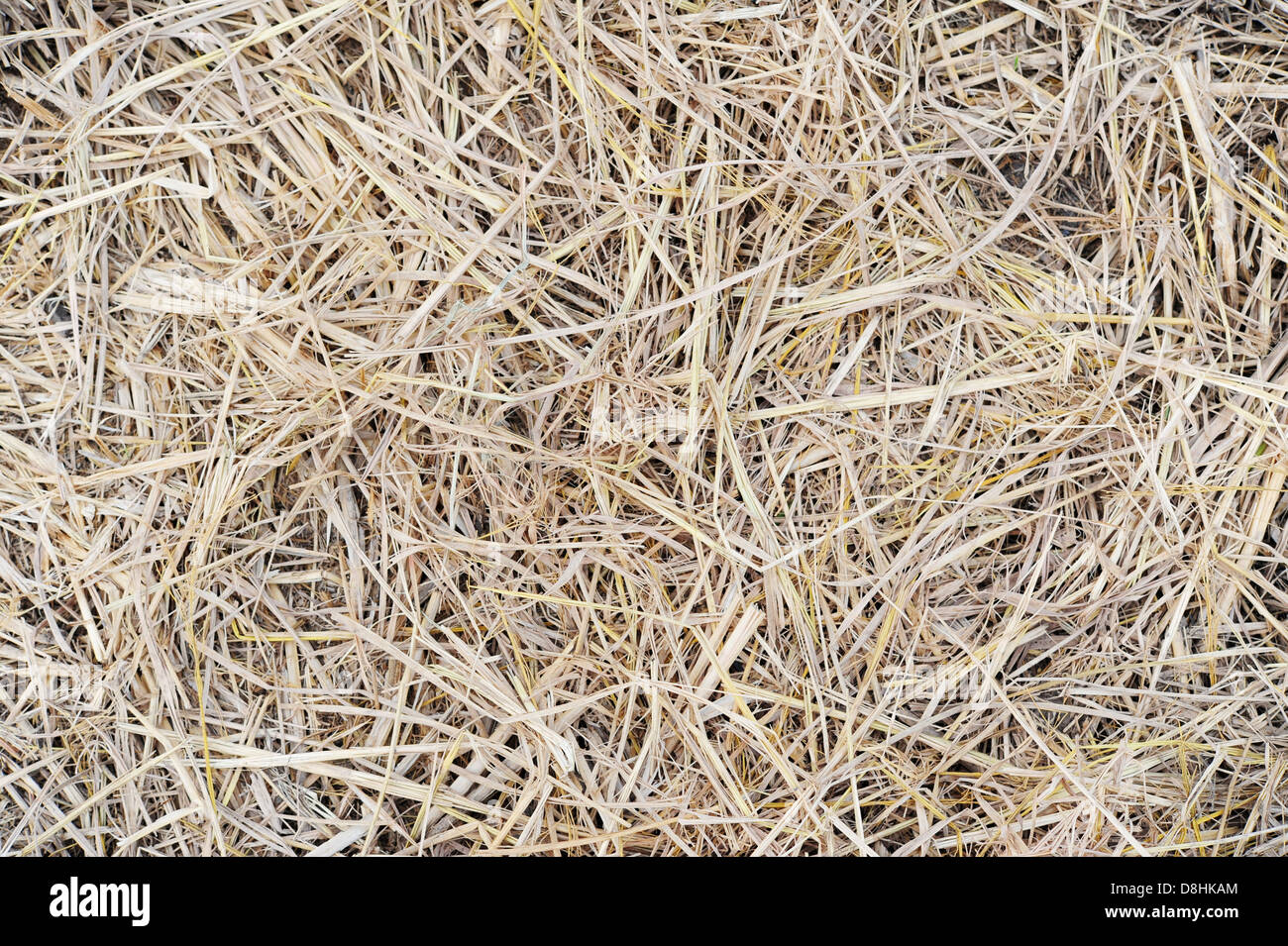 Straw bale texture hi-res stock photography and images - Alamy