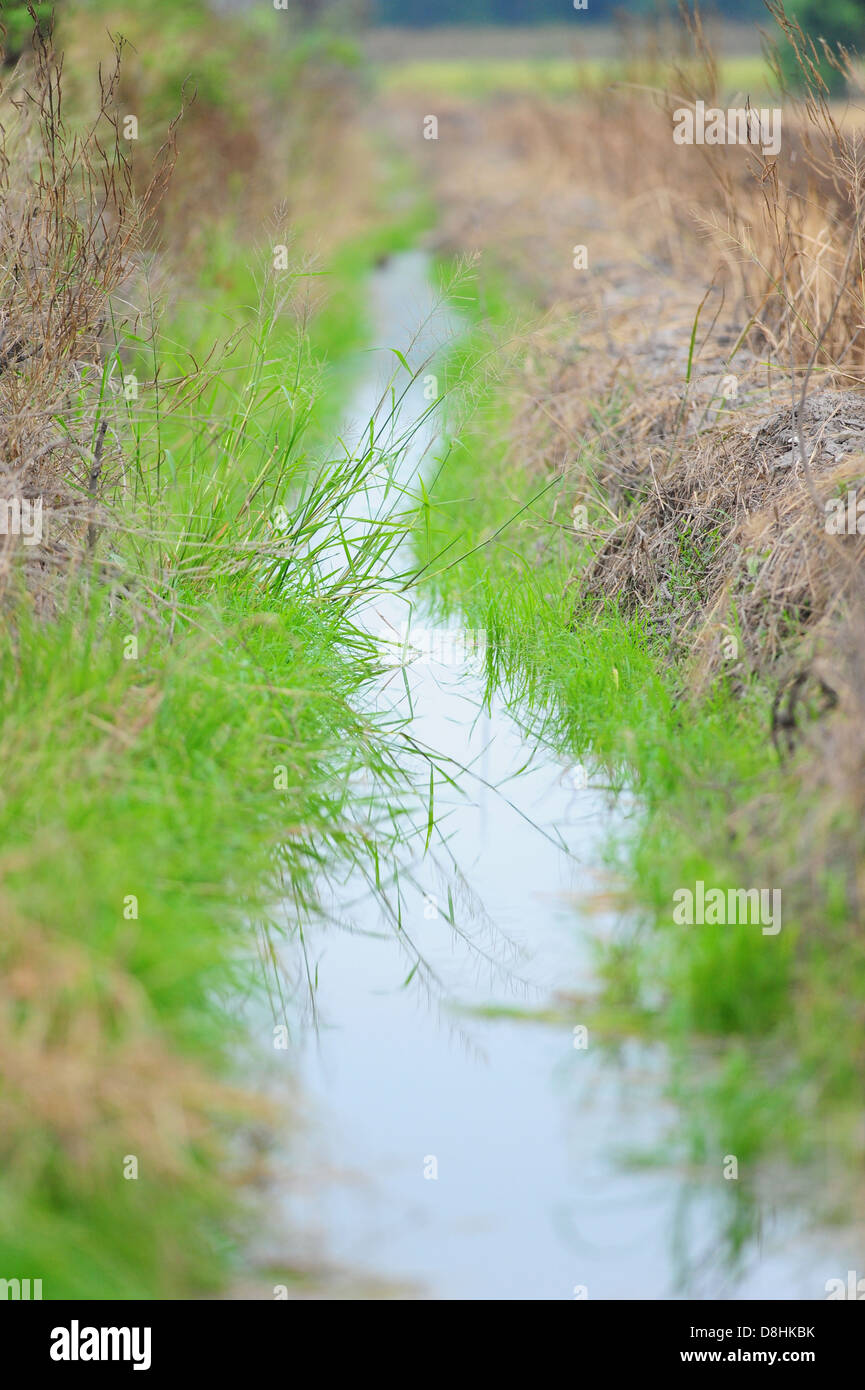 watercourse of agriculture Stock Photo - Alamy