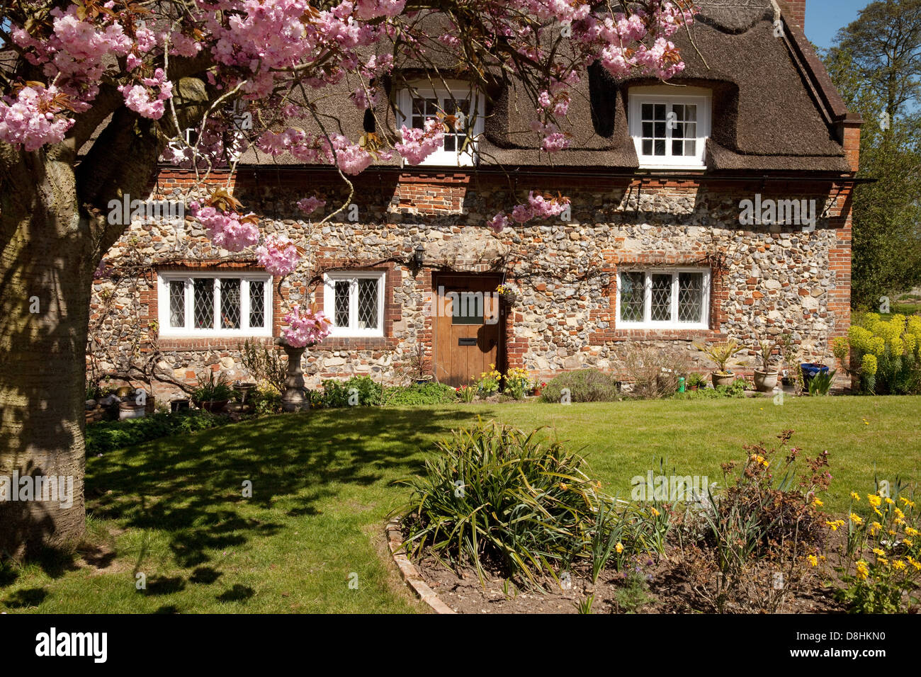 A charming thatched cottage house in spring, Ranworth, Norfolk East ...