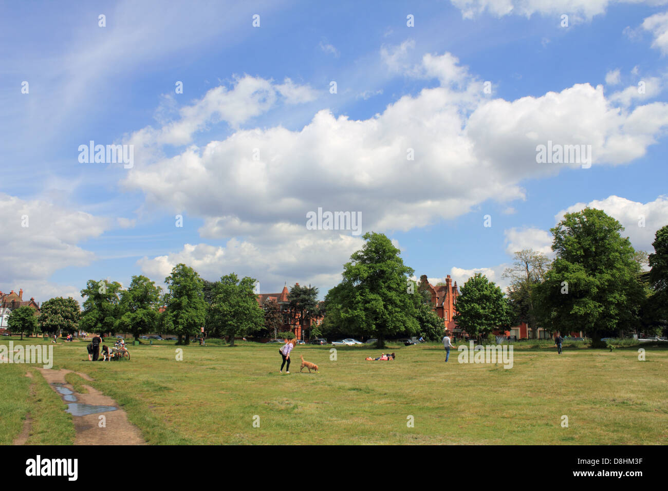 Wimbledon common hi-res stock photography and images - Alamy
