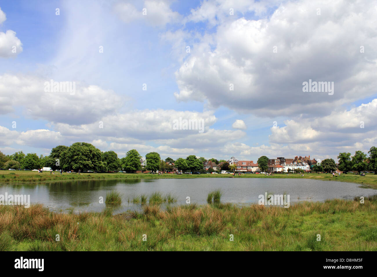 Rushmere Pond on Wimbledon Common, SW London England UK Stock Photo - Alamy