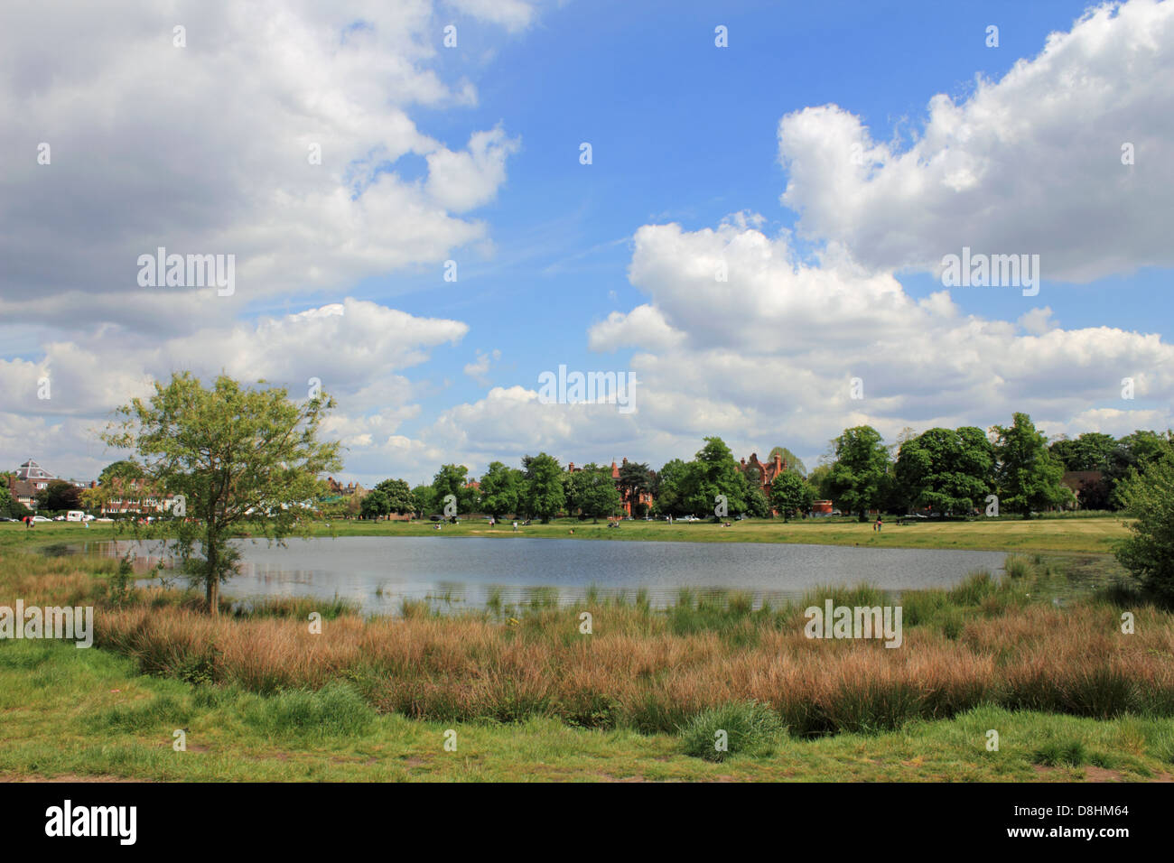 Rushmere lake hi-res stock photography and images - Alamy