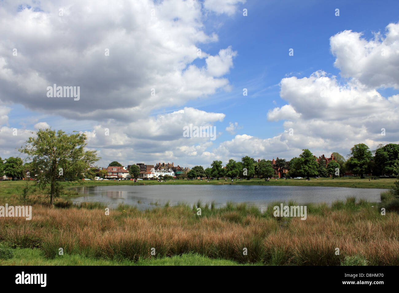 Rushmere Pond on Wimbledon Common, SW London England UK Stock Photo - Alamy