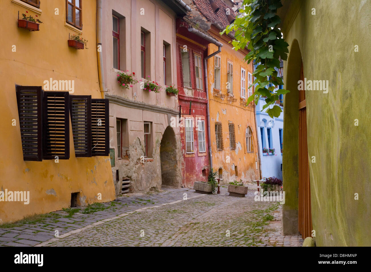 Romania, Transylvania, Sighisoara, medieval citadel, streets lined with ...