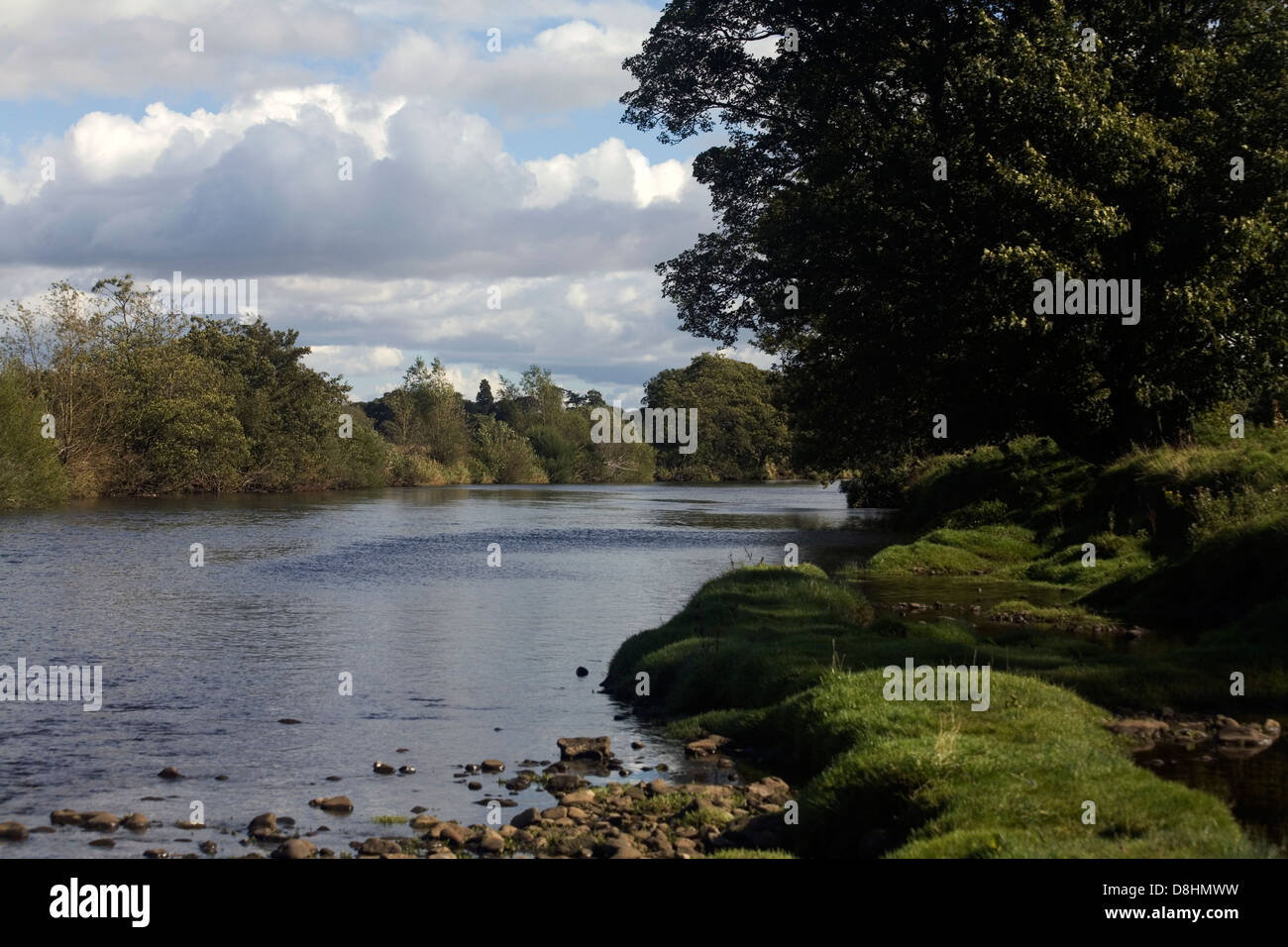 The River Ure flowing through the lower part of Wensleydale near to ...