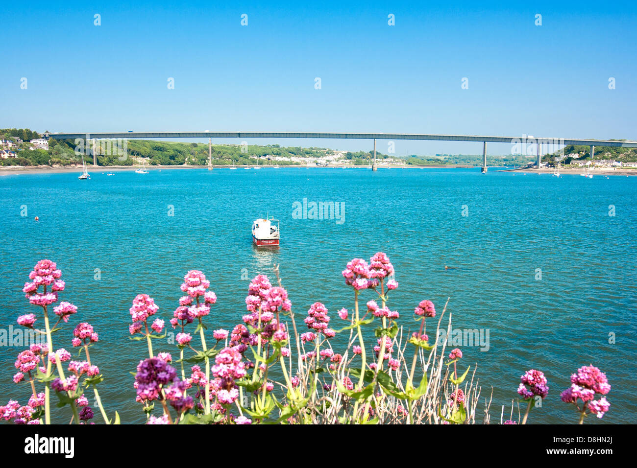 Cleddau bridge view hi-res stock photography and images - Alamy