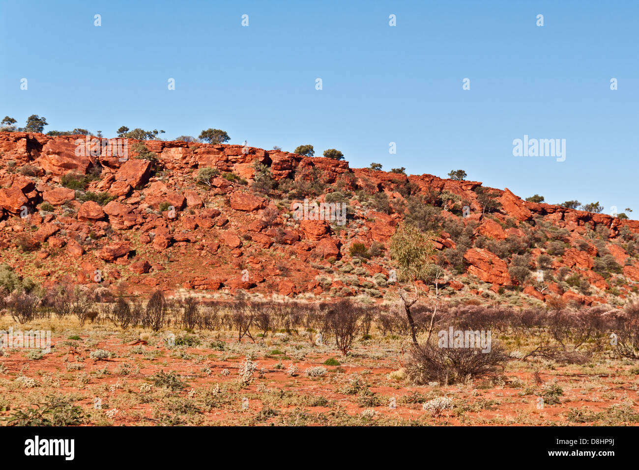 Durba Stock Photos & Durba Stock Images - Alamy