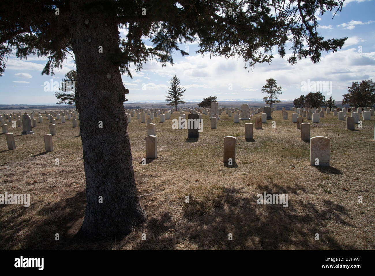 Cemetery with tombstones and a tree in the foreground Stock Photo - Alamy