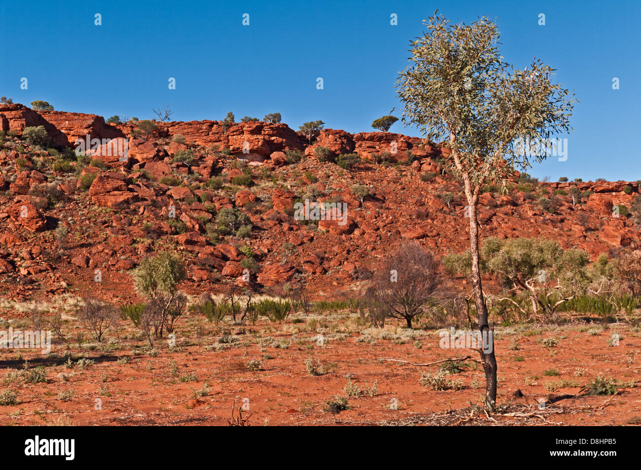 Durba Stock Photos & Durba Stock Images - Alamy
