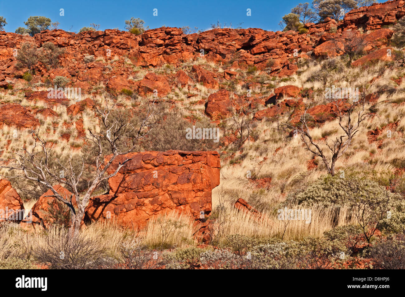 Durba hi-res stock photography and images - Alamy