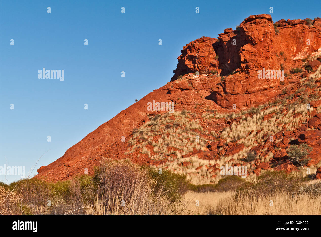 Durba Stock Photos & Durba Stock Images - Alamy