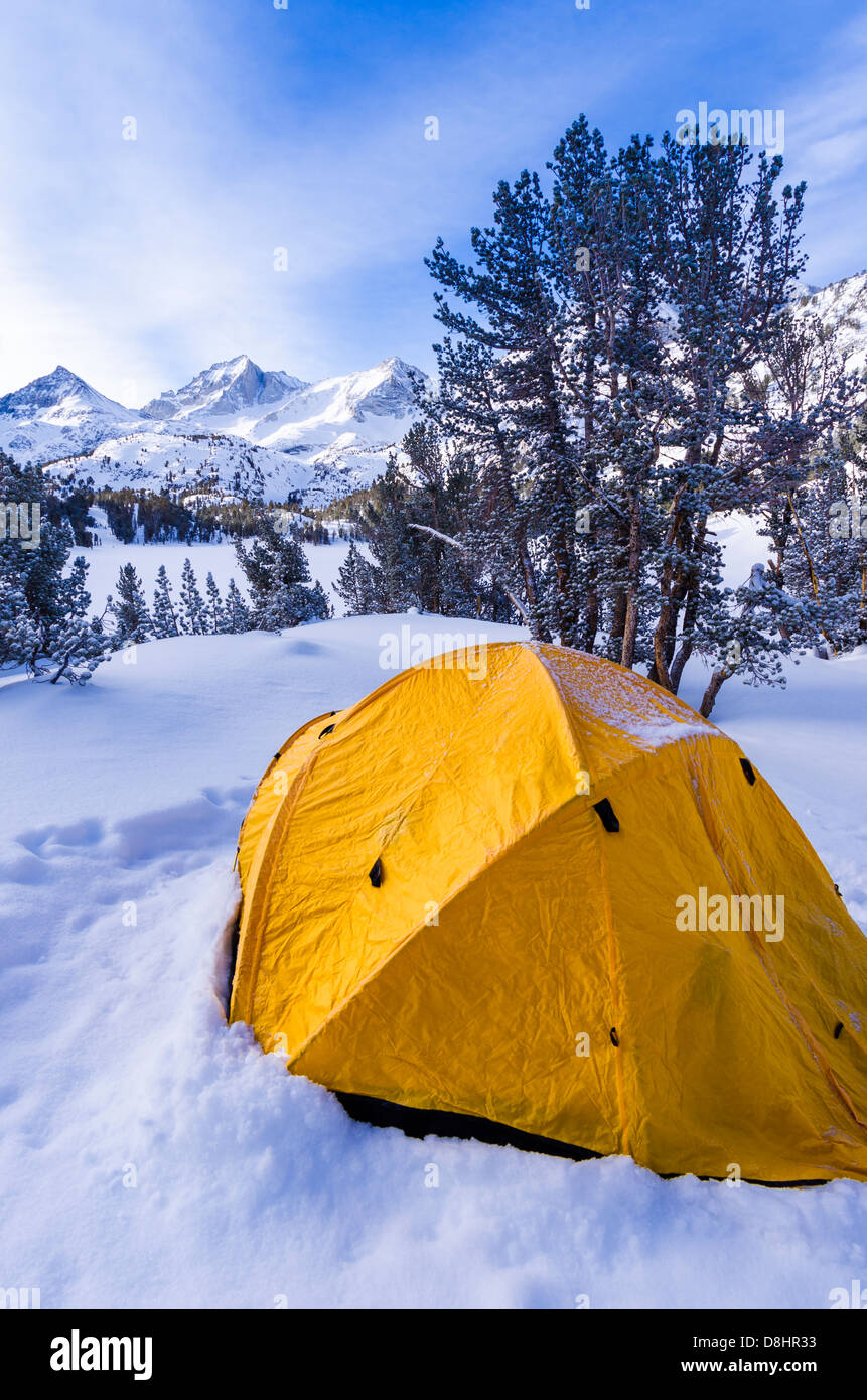 Yellow dome tent in winter, John Muir Wilderness, Sierra Nevada ...
