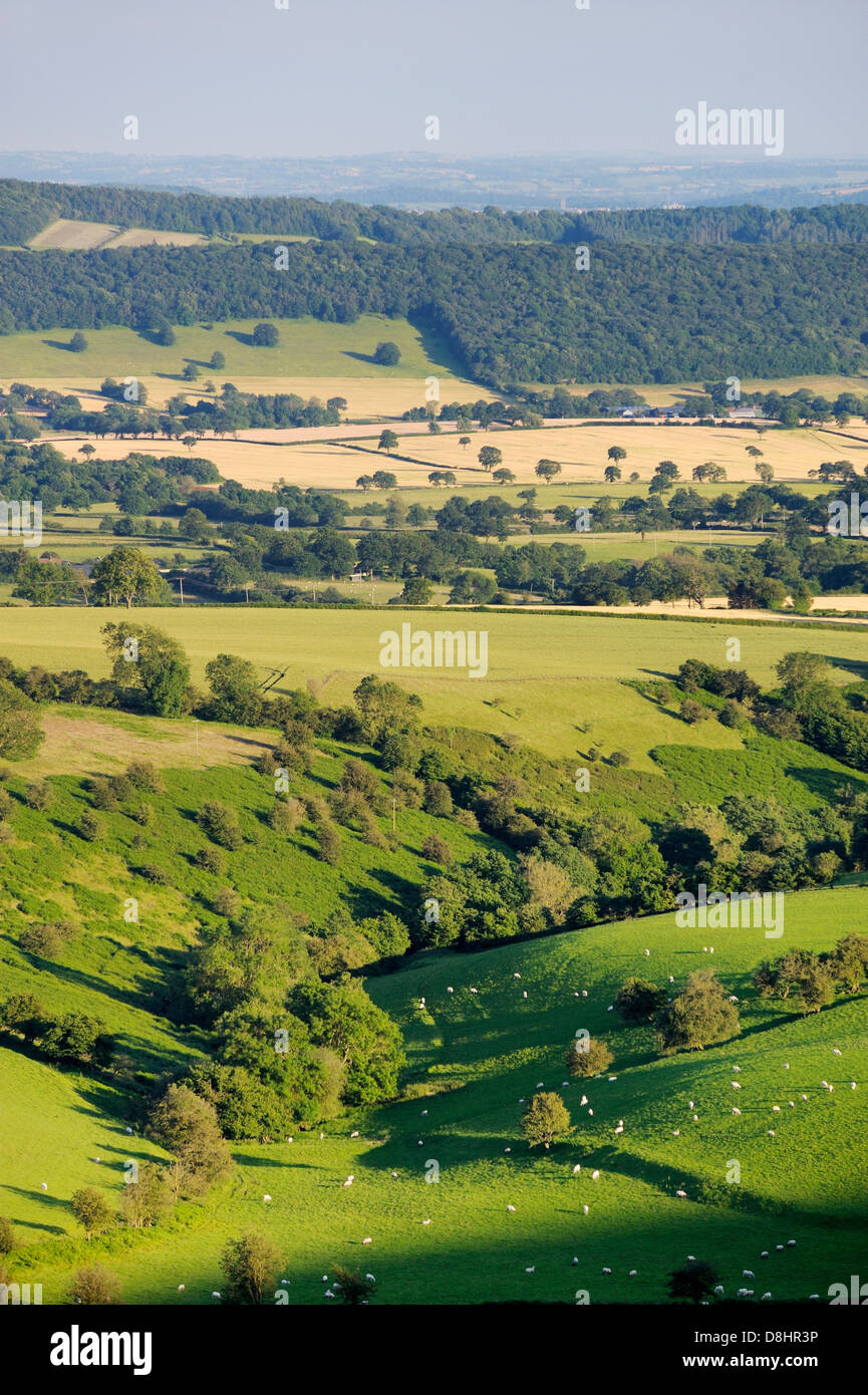 Wenlock Edge Farm Stock Photos & Wenlock Edge Farm Stock Images - Alamy