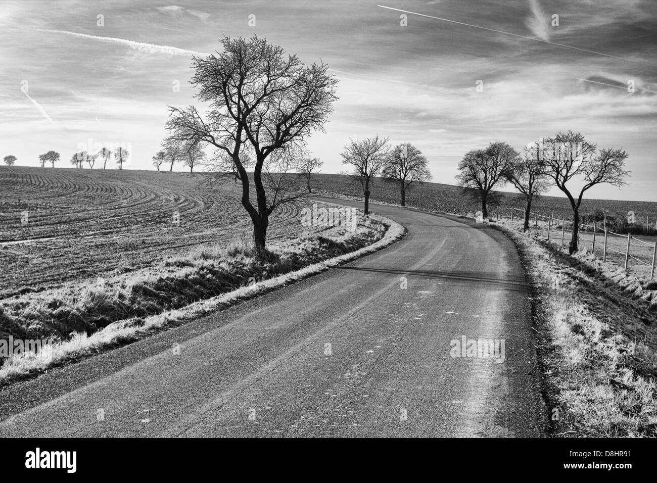 Way trees Black and White Stock Photos & Images - Alamy